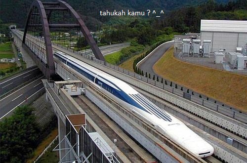 Kereta tranportasi masal terpanjang dan tercepat - Mengenal Flora dan Fauna