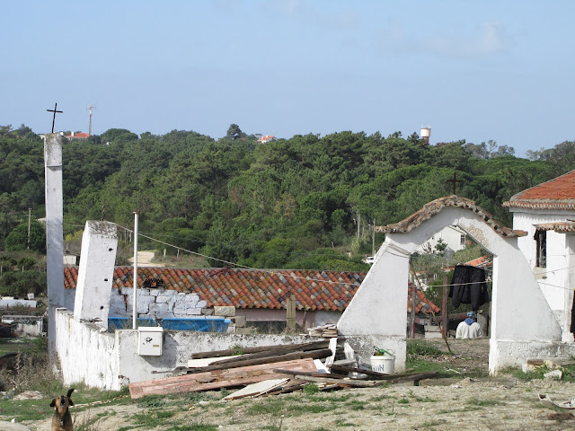 Histórias da História da Charneca de Caparica: NUMA TERRA ÁRIDA E SECA ...