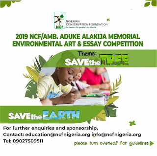 2019 NCF/AMB. Aduke Alakija Environmental Art & Essay Competition