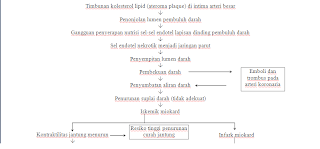 1500 ASUHAN KEPERAWATAN: Pathway / WOC IMA / Infark Miocard Akut