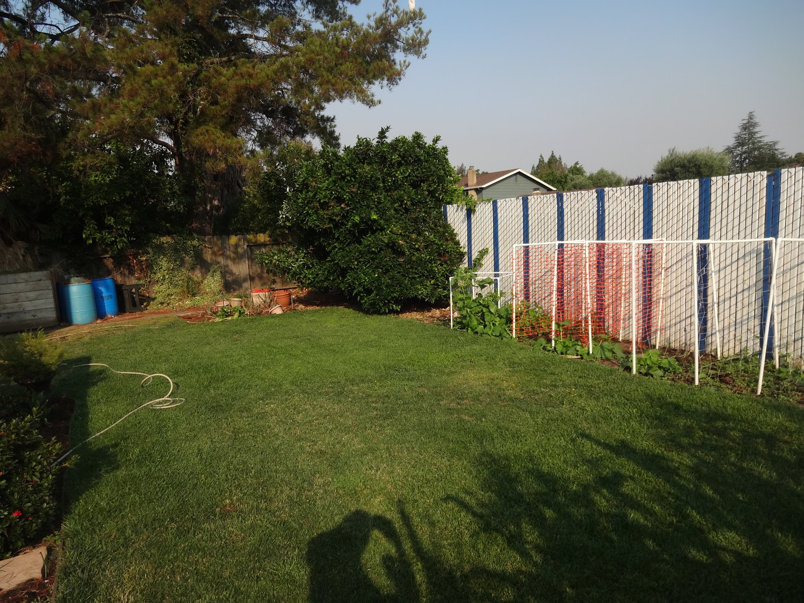 The Scientific Gardener: The Fertile Garden - 2018 Edition