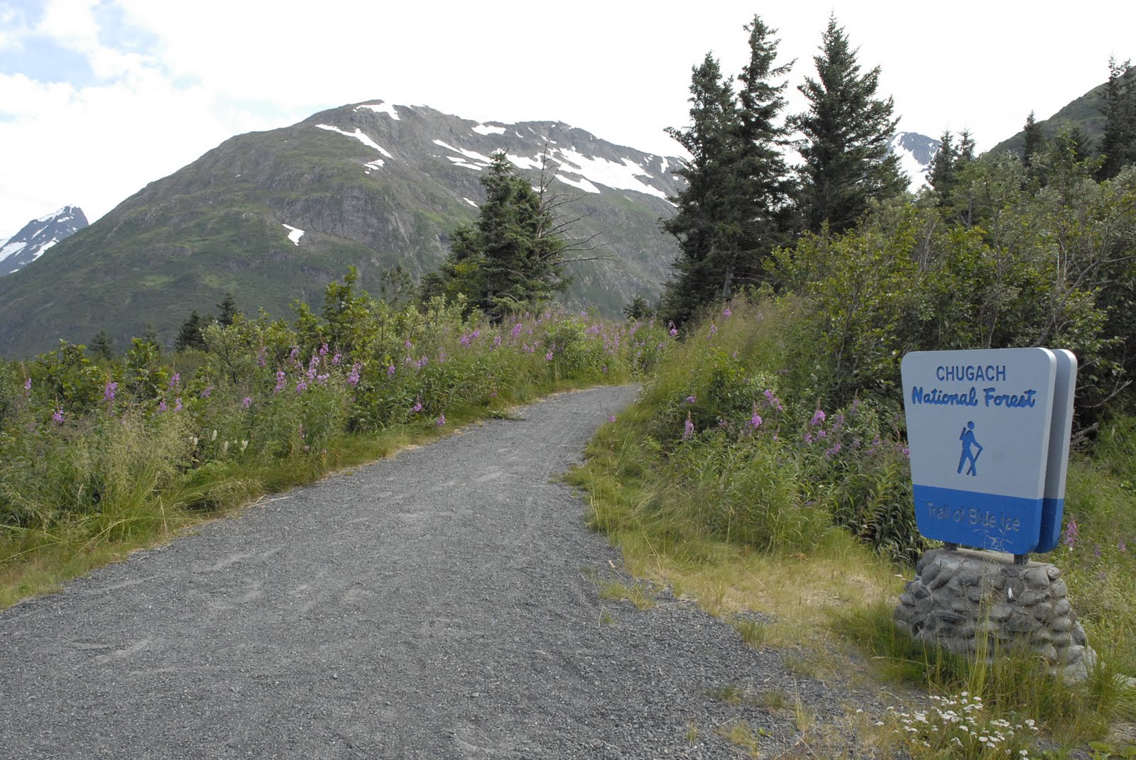 Alaska Whittier: Trail Of Blue Ice (Visitors Center & Byron Glacier ...