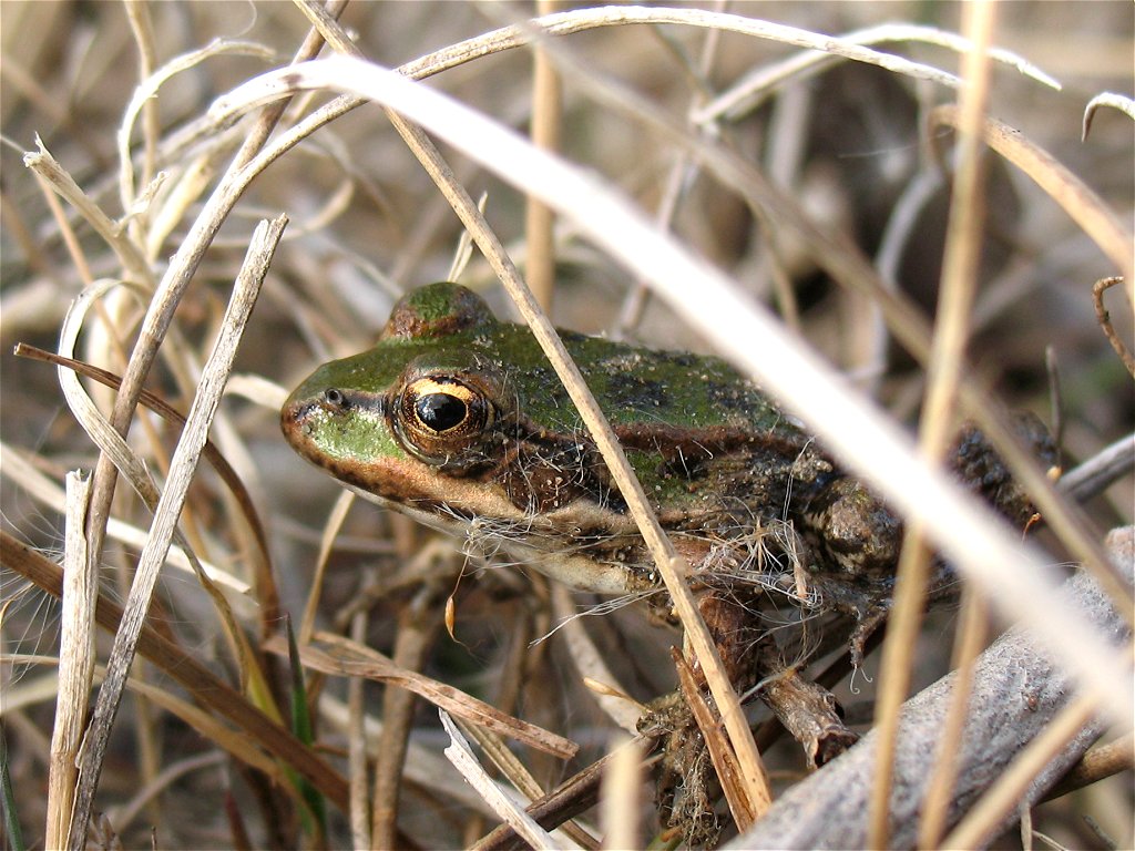 The Natural Stone: Northern Greece