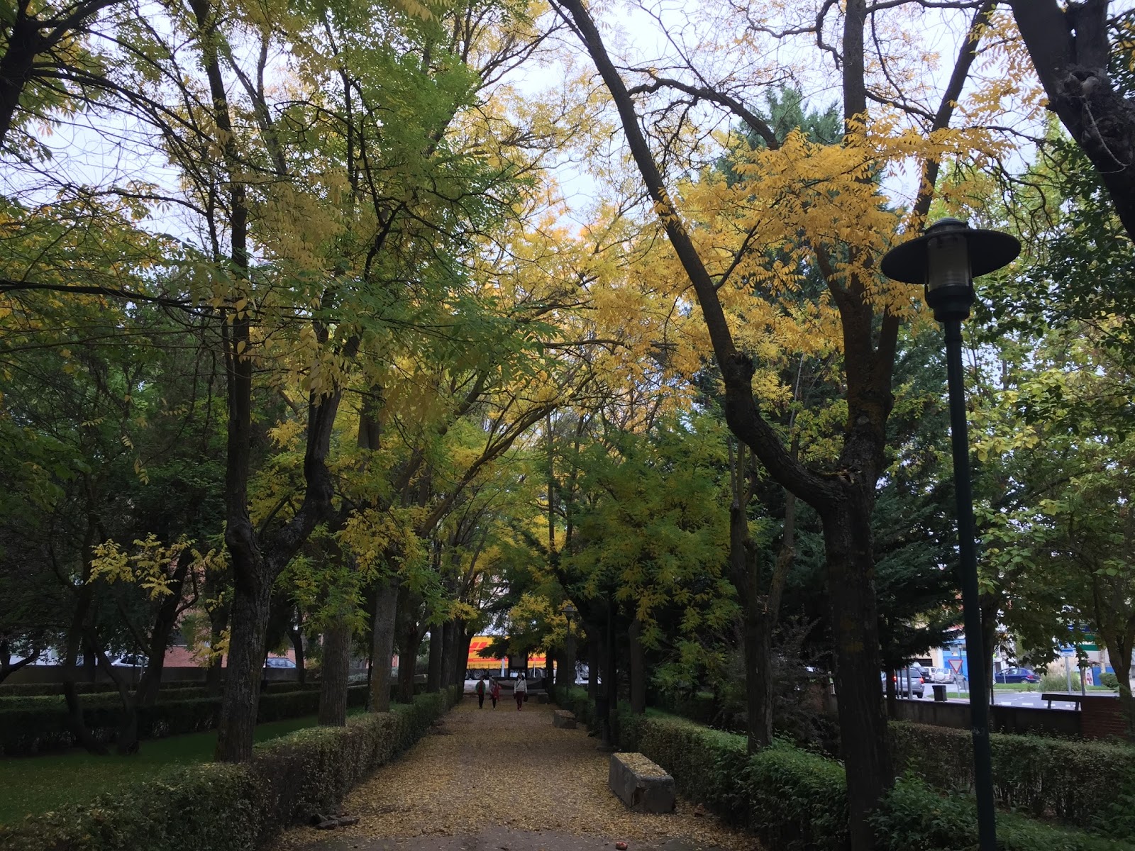 El Paseo, los Paseos...