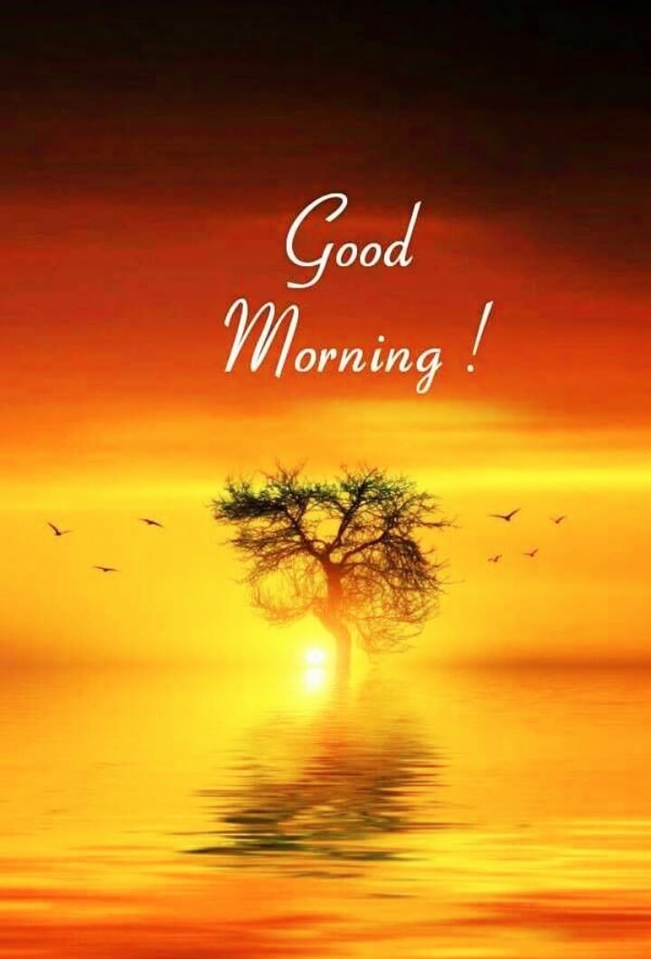 Best 20+ Beautiful Good Morning Images [ Latest Update ] - Mixing Images