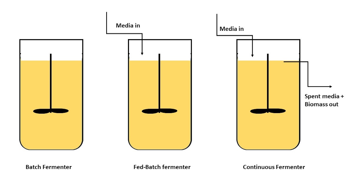 Dhanus Micro Notes Batch Fed Batch And Continuous Fermentation dhanus-micro-notes-batch-fed-batch-and-continuous-fermentation