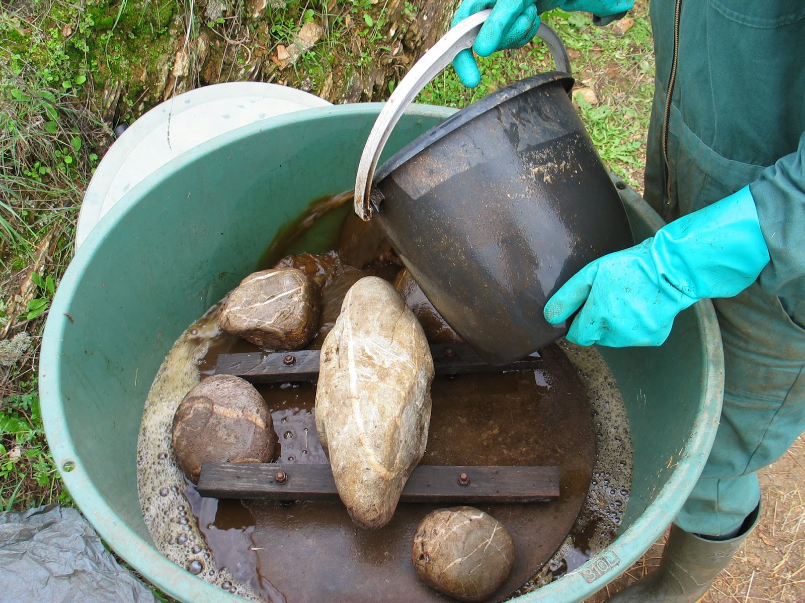 Compost Farming Hestel Tellus: About composting grasses. How I do it.