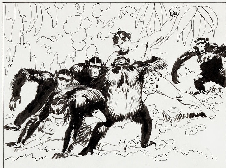 Hal Foster up close: Tarzan art