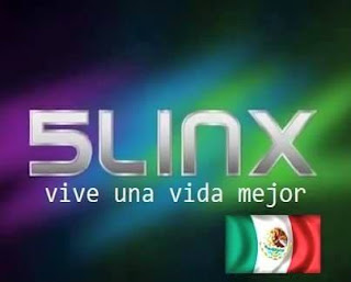 5LINX MEXICO