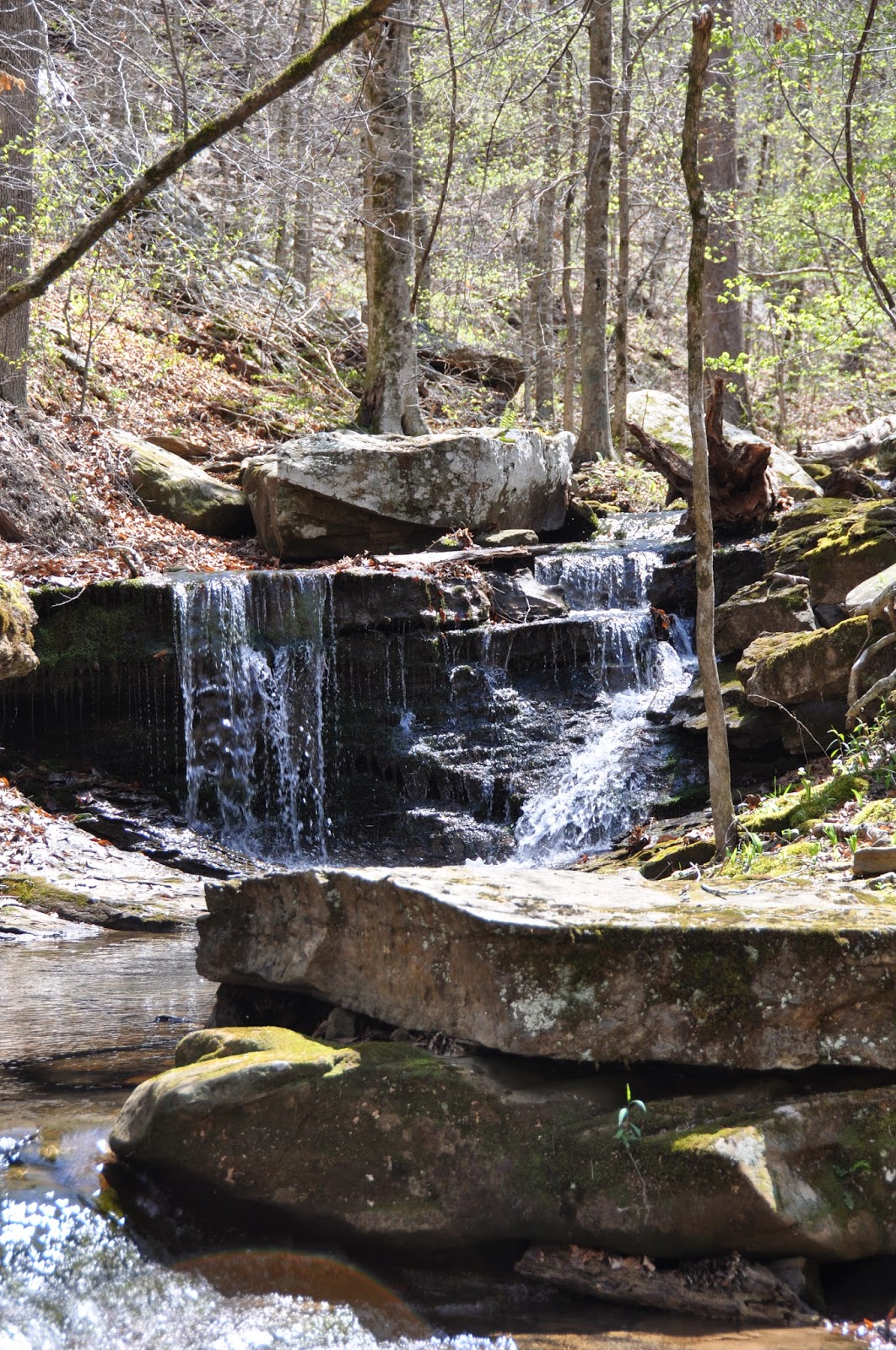 Rick's Hiking Blog: Stepp Creek Area, Arkansas Ozarks