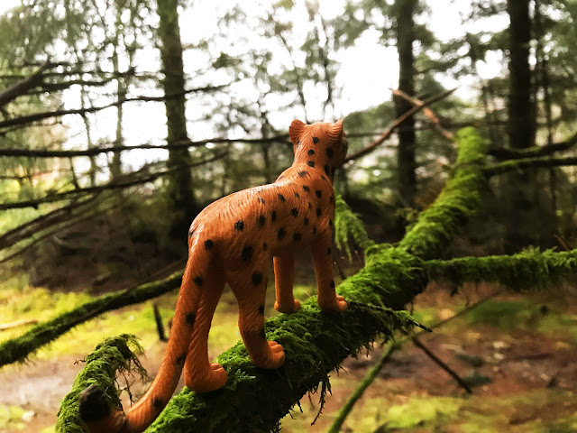 FOTO OG GRAFIKK 2019-20 Olsvikåsen videregående skole