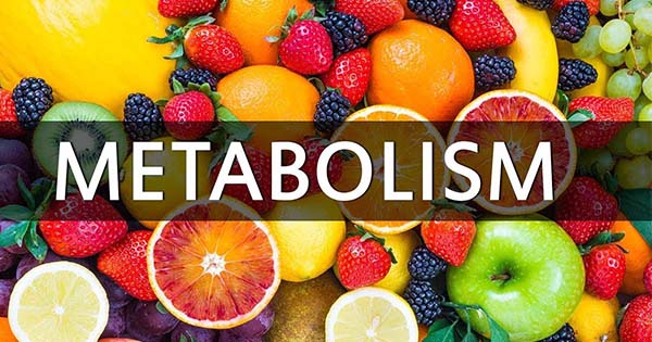 6 Natural Metabolism Boosters - SHREDDEDFIT