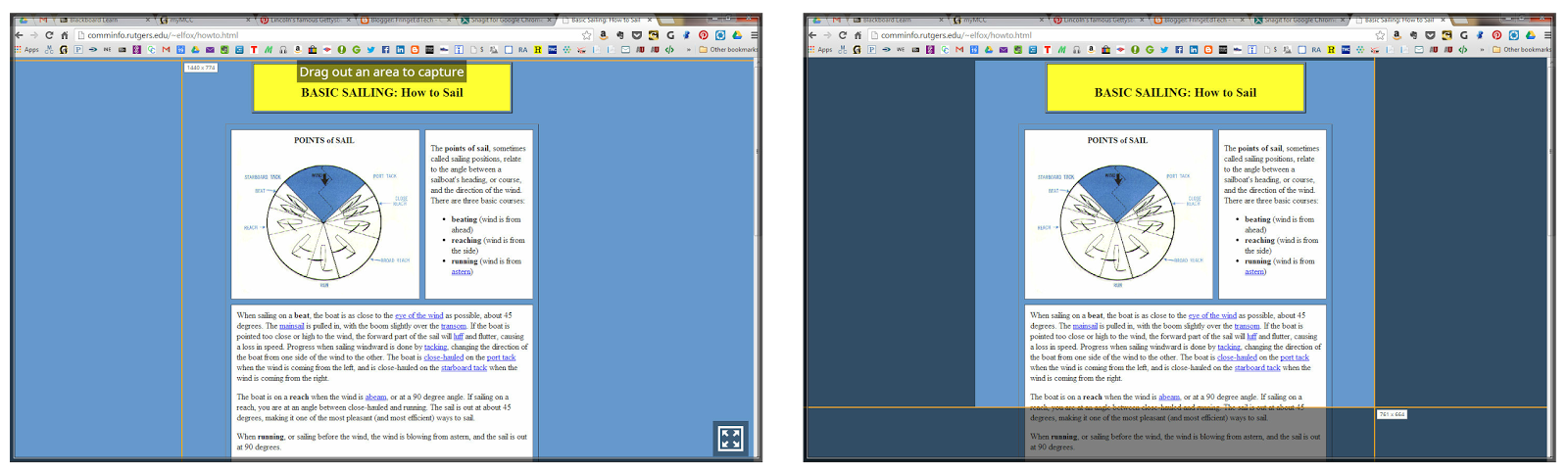 Snagit. Annotateit. Shareit. - FringeEdTech