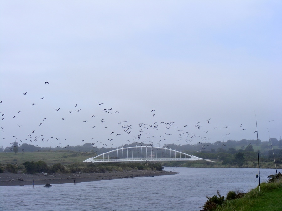 photographing New Zealand: Te Rewa Rewa Bridge