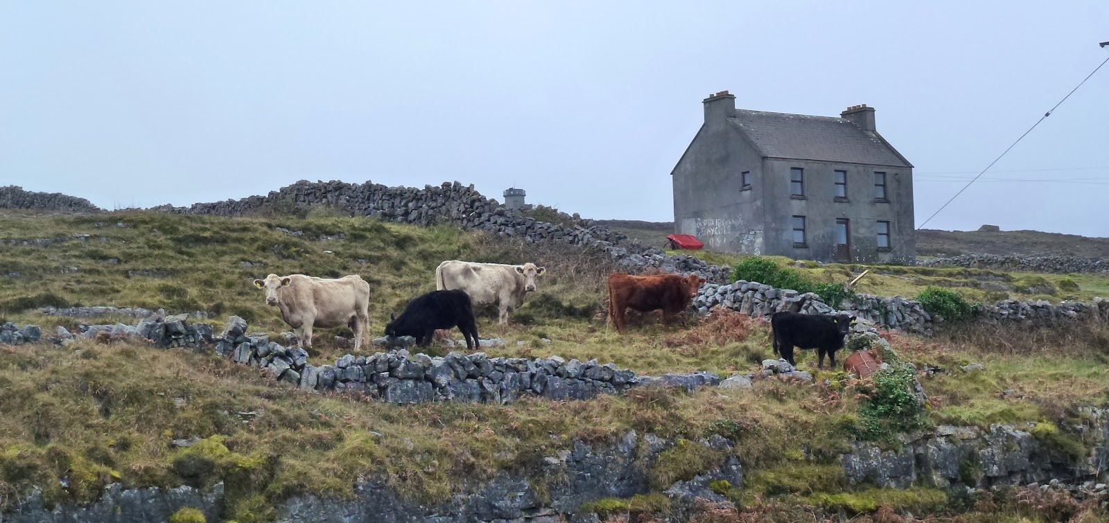 Paddy's Wagon: Jaunting around Inis Mor with Johnny