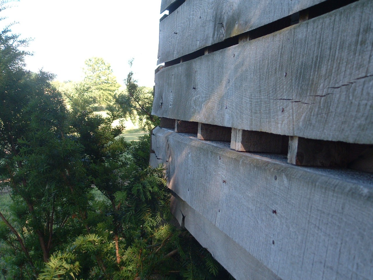 Ohio Microfarm: The Bee Barn - A European style apiary