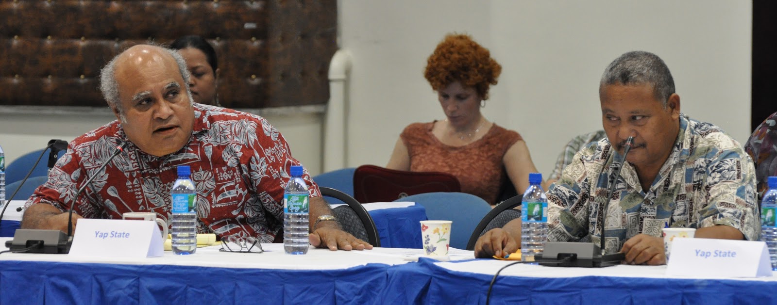 fsmupdates: Leaders view investment symposium recommendations on FSM ...