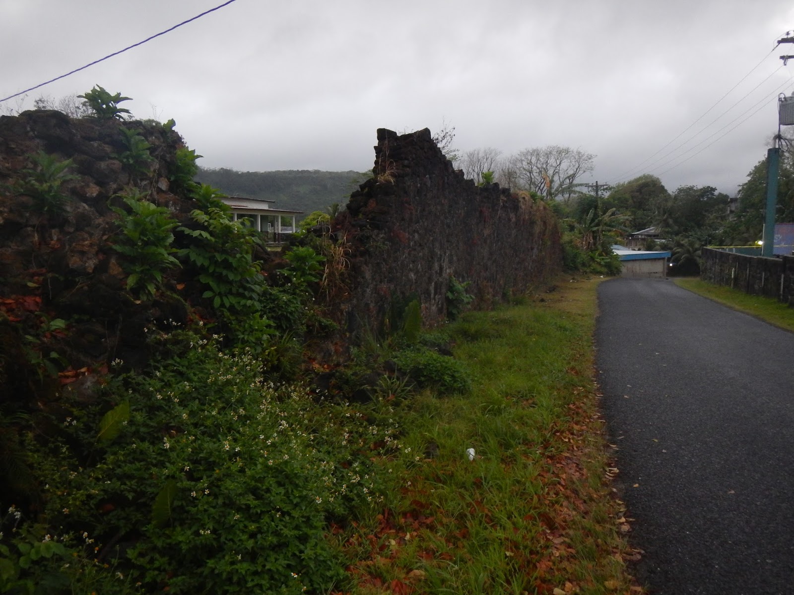 Hedgpeth: Spanish Wall