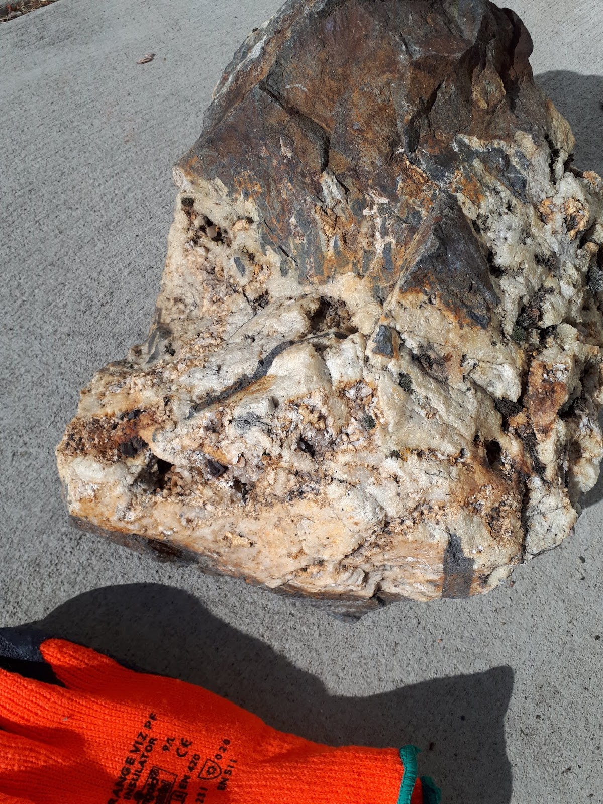 Coldstream Corner: Two "Delicious" Rocks