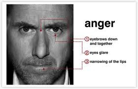 Descriptive Faces--A Resource for Writers: Facial Expressions--Anger