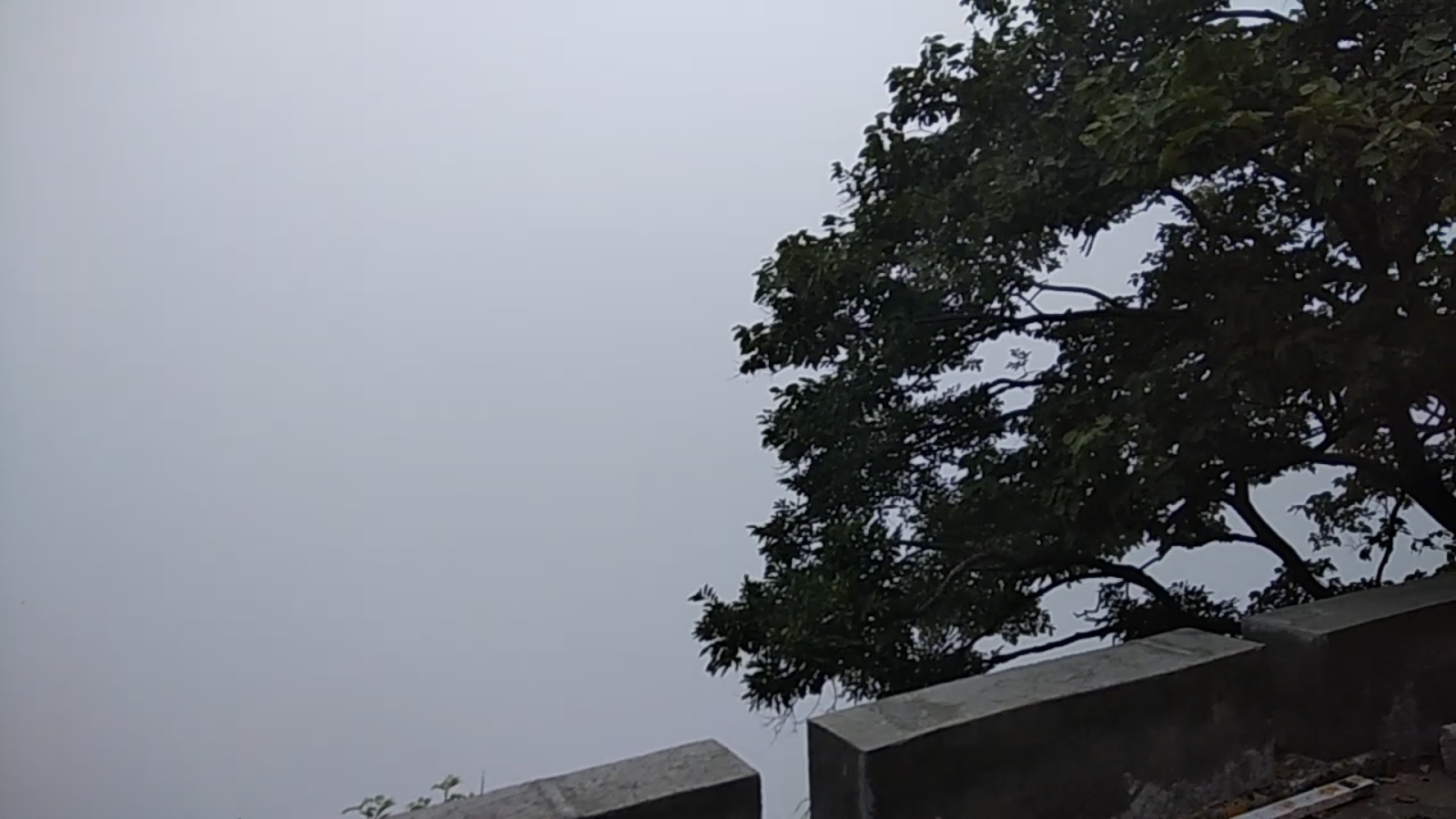 Magical Land Of Green World On Earth: TIGER Valley Valparai