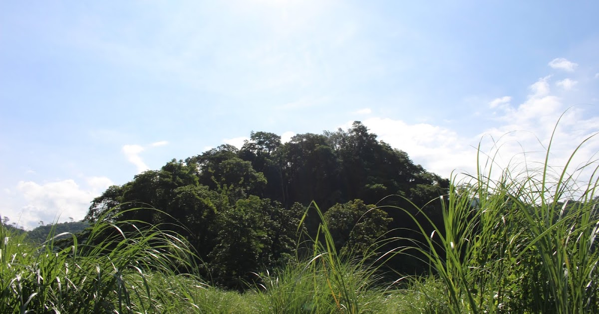 The House beyond the Talahib Grass