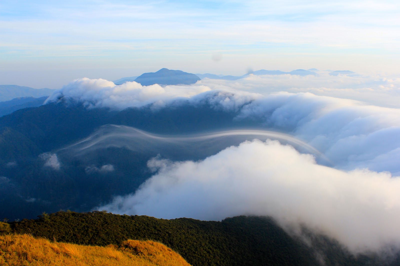 Wiam. [Wildelyn]: Mt. Pulag