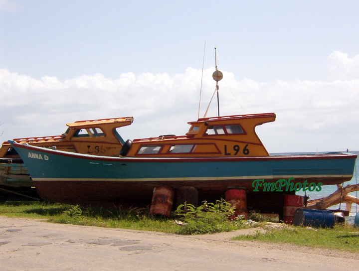 Flash Media Photos: 100% Bajan