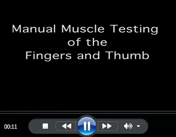 อีบุคหน้าเขามหาชัย: Manual Muscle Testing of the Fingers and Thumb