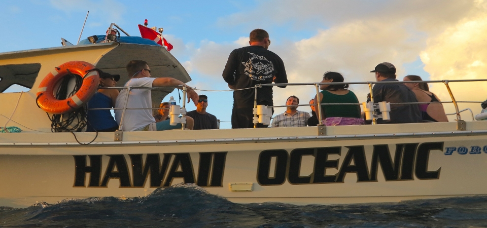 Swim with Dolphins, Snorkel with Manta Rays, Whale Watching, Boat Tours ...