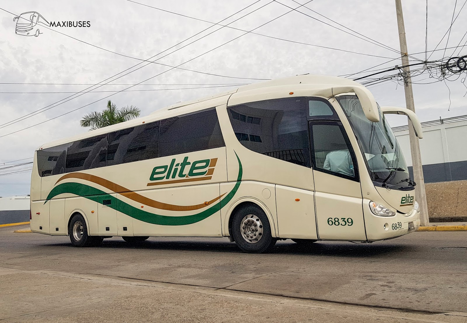MAXIBUSES: ELITE