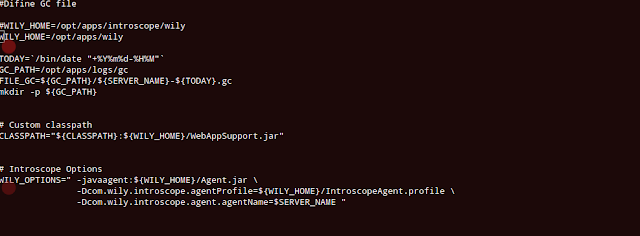 MIDDLEWARE: PERFILAR APLICACIONES WEB CON WILY INTROSCOPE