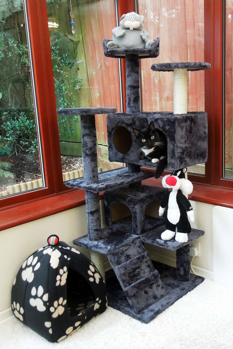 Inky Dinky Doodle: WOYWW #381: Birthday card from recycled cardboard