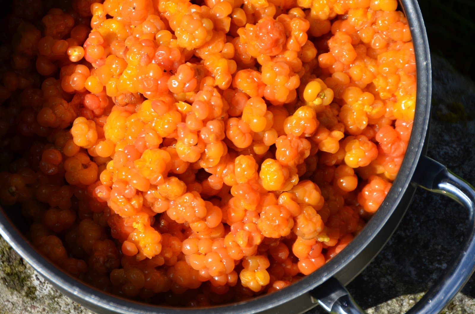 rørt multesyltetøy oppskrift | Matawama.com