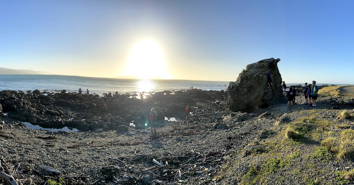 Ngati Toa Sea Scouts: Cycling trip to Hongoeka Bay