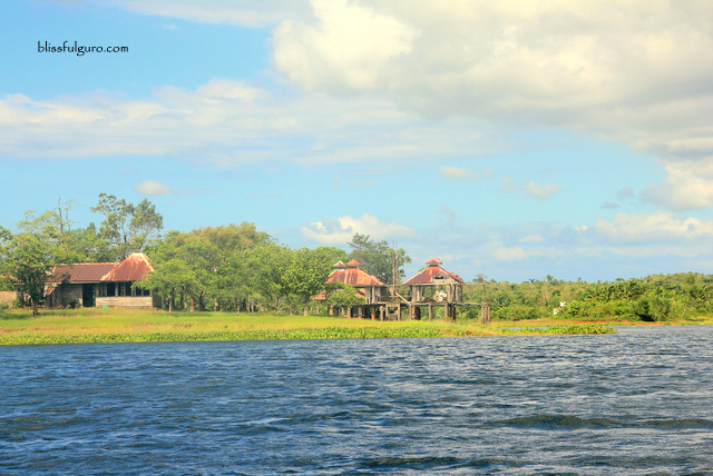 Mountain Lake Resort at Caliraya Springs - blissfulguro