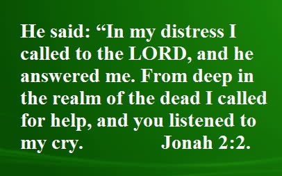 Daily Verses: Haggai 2:6-7: