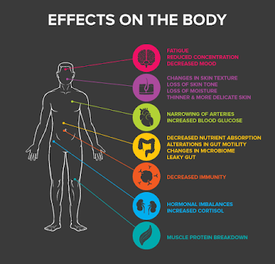 Ibrahim Online: How Stress Affects Your Body