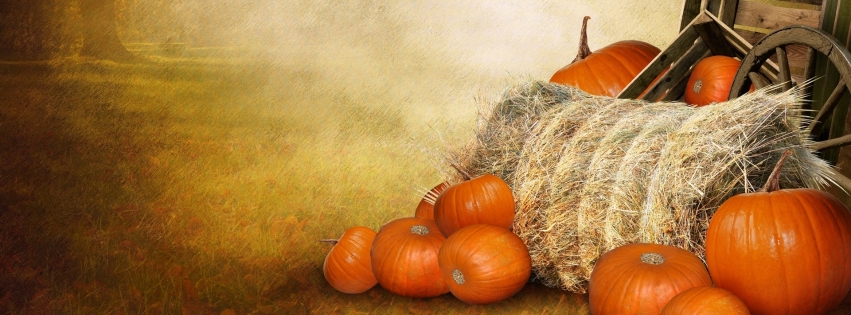 Fall Facebook Covers - Học tiếng nhật, java và mọi thứ