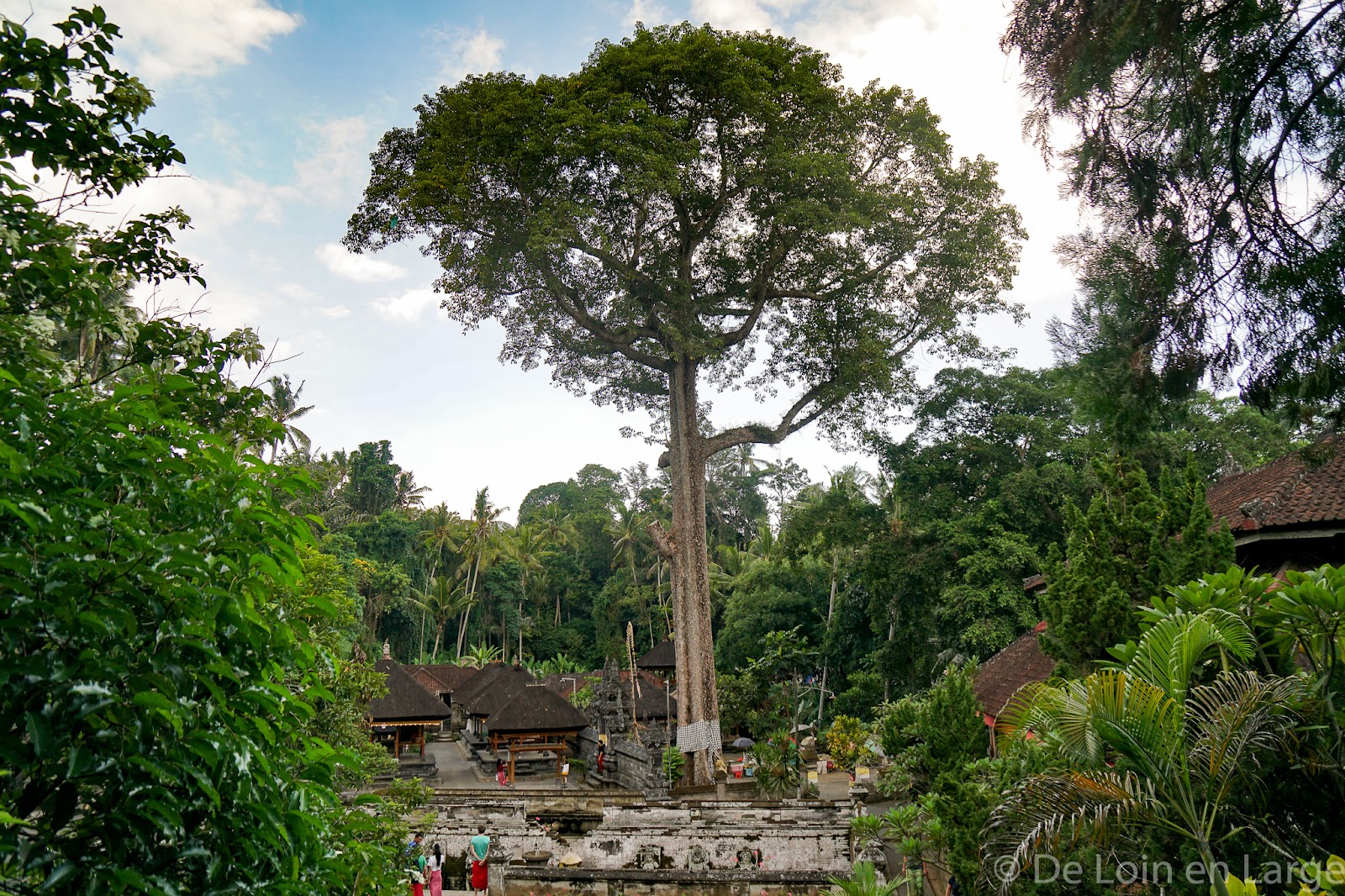 Bali - jour 3 : Ubud, de temple en temple