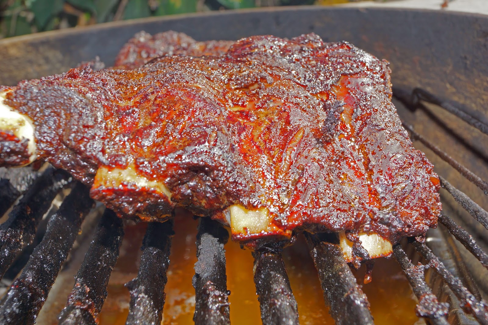 MAD MEAT GENIUS: COB-SMOKED BEEF RIBS