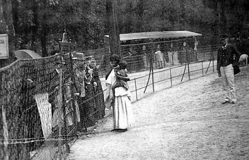 20 Historic Photos of Africans in European Zoos From the Late 19th and ...