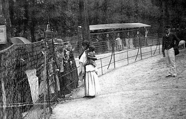 20 Historic Photos of Africans in European Zoos From the Late 19th and ...