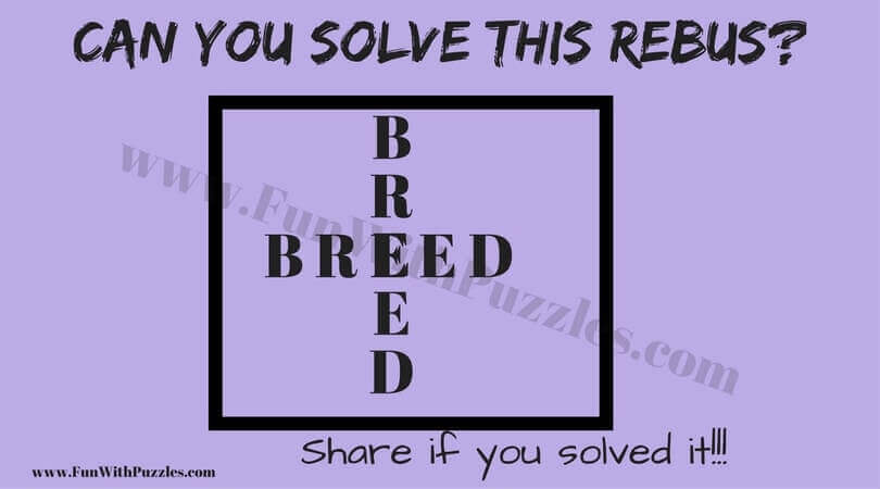 Hidden Meaning Brain Puzzles With Answers Fun With Puzzles hidden-meaning-brain-puzzles-with-answers-fun-with-puzzles