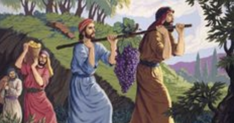 DUS IZ NIES !! Rare View...: The "Meraglim" Are Alive In the USA!