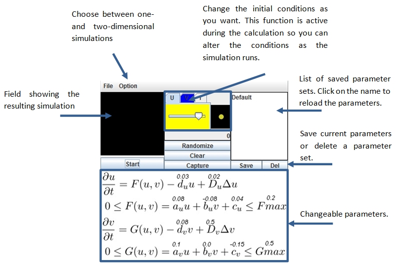 The Laughing Mathematician: Mathematical biology. Create your own ...