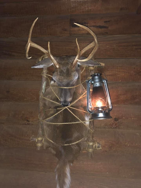 Marian's Hunting Stories, etc., etc., etc...: A Unique Deer Mount