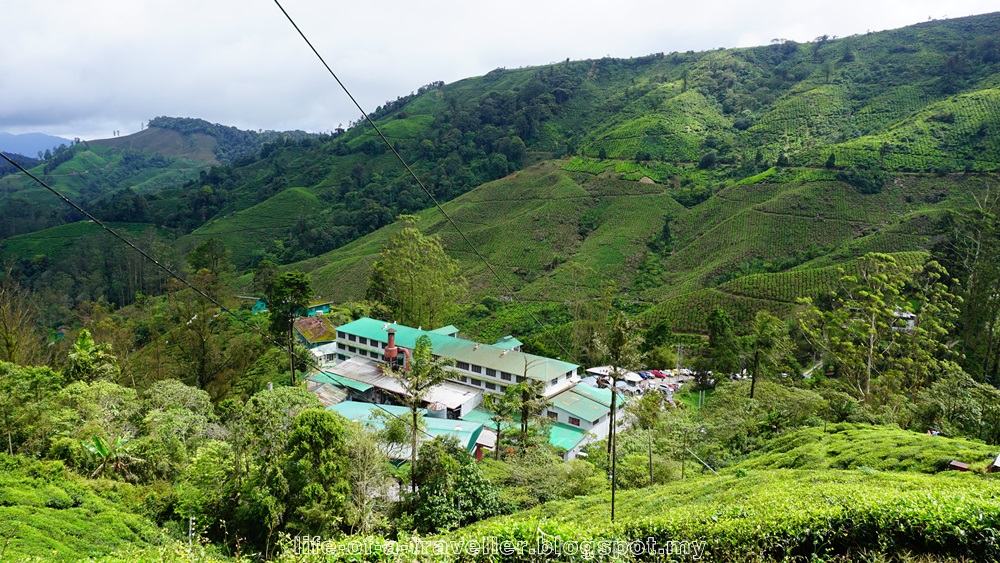 A Traveller's Note: BOH Heritage Tea Centre and Factory, Habu, Cameron ...