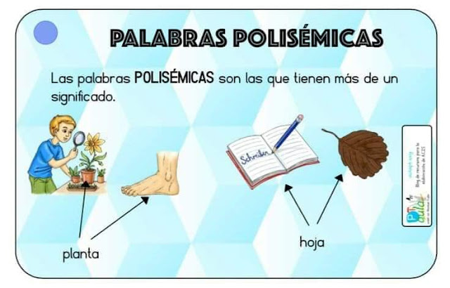 Cuaderno de Vocabulario: PALABRAS POLISÉMICAS