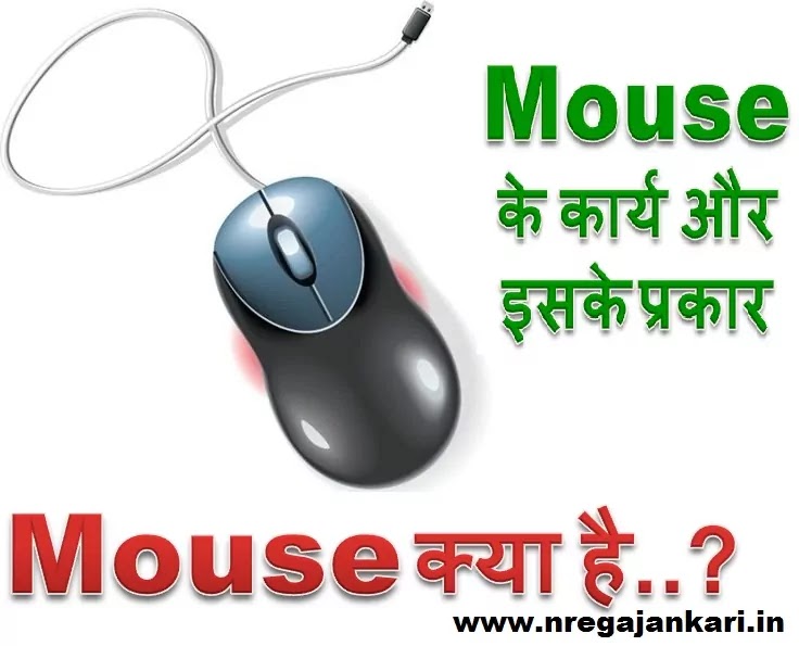 Mouse Kya Hota Hai in Hindi 2021 I कम्प्यूटर माउस कितने प्रकार के होते ...